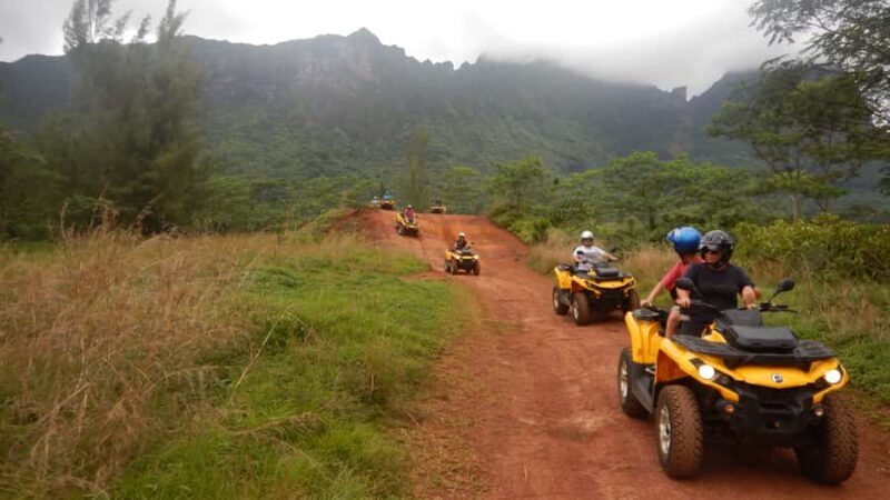 Mo'orea: Guided ATV Nature Tour - Authentic Insights from Reviewers