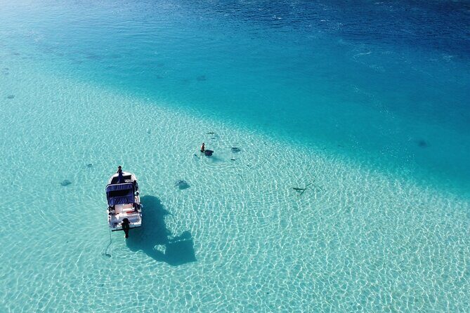 Mo'orea Half Day Private Tour with Snorkeling and Cruising the Lagoon - Practical Details and Tips