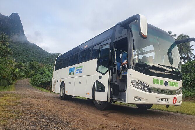 Moorea Island Tour - Transportation, Timing, and Group Dynamics