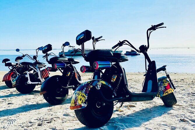 Moorea Island Tour - Final Words