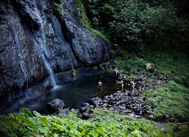 Moorea: Island Tour with Waterfall Hike and Lunch - An In-Depth Look at the Tour Experience
