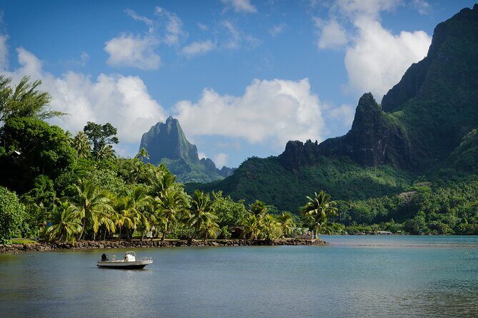 Moorea Nature & Culture Hike  Private Shore Tour 4 Hours - Exploring Moorea’s Wild Side: The 4-Hour Nature & Culture Hike