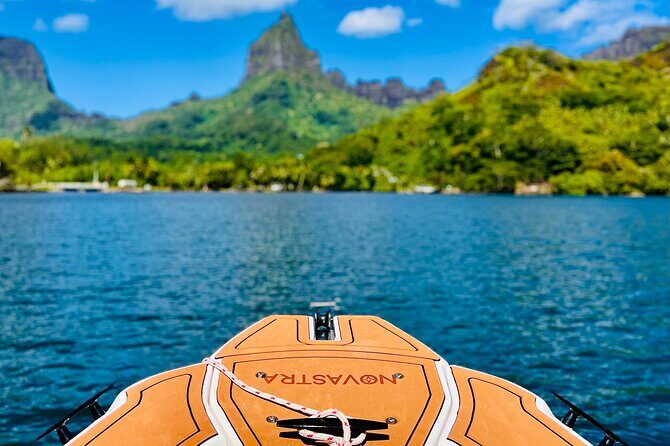 Moorea: Private 4-Hour High-End Boat Excursion - Key Points