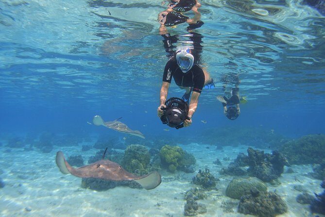 Moorea Private Boat Tour / Sea Scooter Snorkeling Tour - Who Should Consider This Tour?
