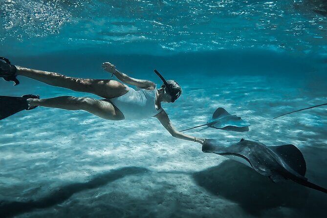 Moorea: Private Snorkeling Tour with Certify Guide - Key Points