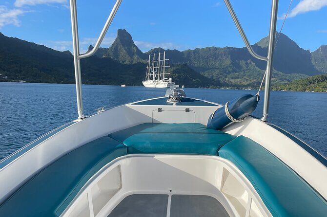 Moorea: Private Snorkeling Tour with Certify Guide - Authentic Reviews That Highlight the Experience