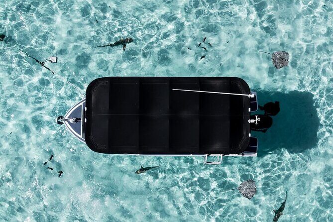 Moorea: Private Snorkeling Tour with Certify Guide - Who Will Love This Tour?