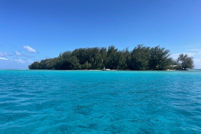 Moorea: Private Snorkeling Tour with Certify Guide - Final Thoughts: Is This Tour Worth It?