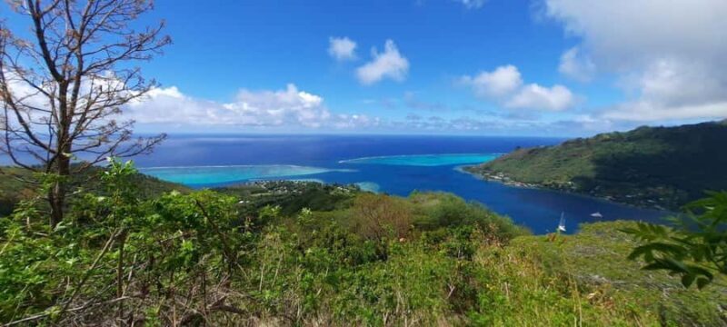 Moorea : Safari Nature and Culture Tour with local guide - Key Points