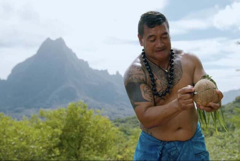 Moorea: Scenic Bus Tour with Guide for Cruise ship passenger - The Experience: What You Can Expect