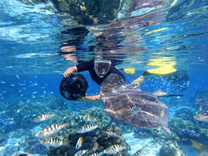 Moorea: Sea Scooter Snorkeling Tour - The Value of the Experience