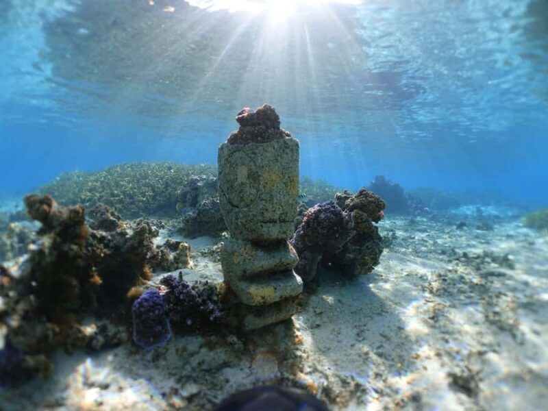 Moorea: Sea Scooter Snorkeling Tour - FAQs