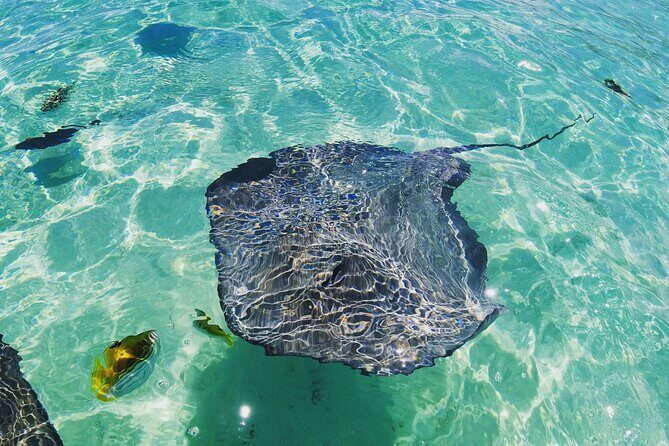 Moorea Solo or Twin 2 hours Jet Ski Tour - Who Would Love This Tour?