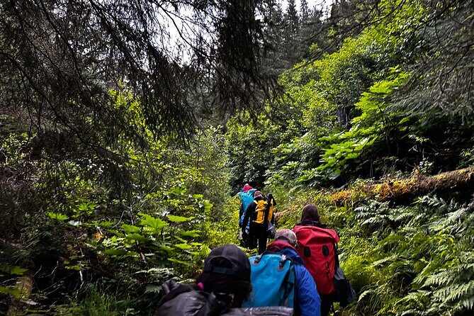 Moose Pass Hiking and Kayak Guided Tour Experience - Detailed Review of the Moose Pass Kayak & Hike Tour
