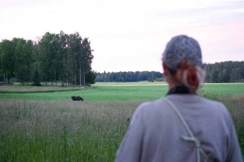 Moose safari with campfire dinner from Helsinki - FAQs  