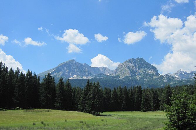 Moraca, Tara & Piva canyons with Durmitor national park - What Travelers Are Saying
