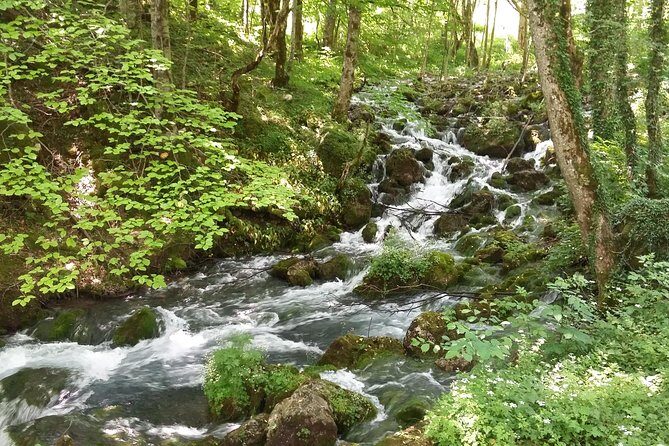 Moraca, Tara & Piva canyons with Durmitor national park - FAQ