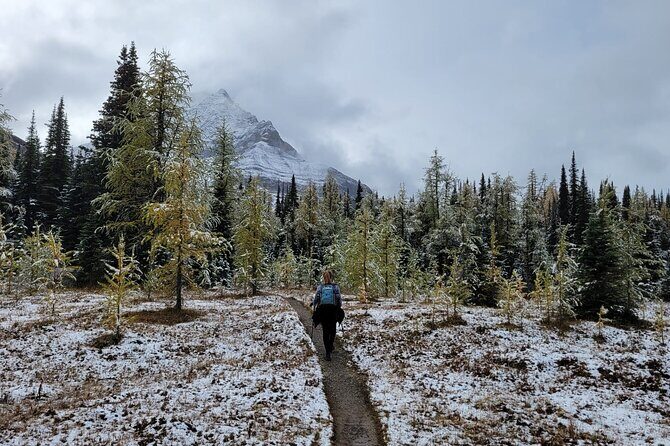 Moraine Lake: Larch Valley Hike, Departure from Banff - FAQ