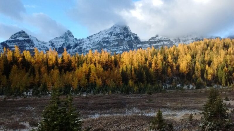 Moraine Lake & Larch Valley Hike - The Value: Are You Getting Your Money’s Worth?