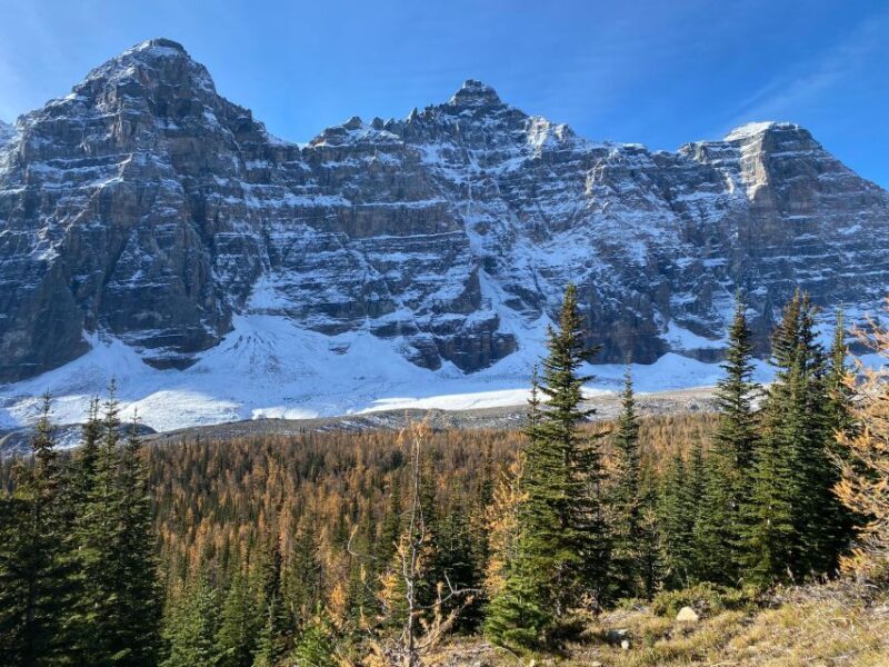 Moraine Lake & Larch Valley Hike - Who Will Love This Tour?