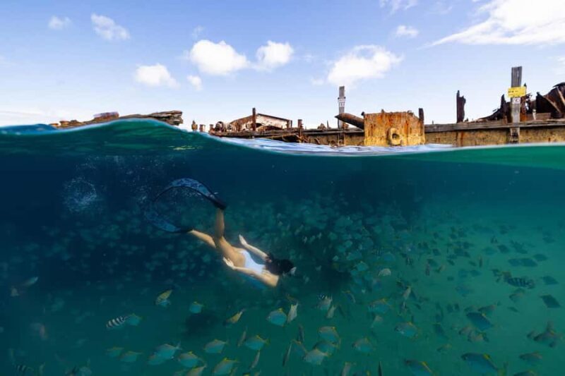 Moreton Island: Dolphin & Tangalooma Wrecks Snorkel Cruise - Who Should Consider This Tour?