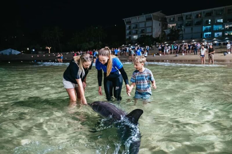 Moreton Island: Marine Discovery Cruise & Dolphin Feeding - An In-Depth Look at the Tour Experience