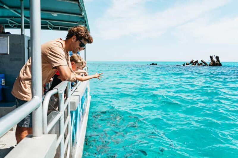 Moreton Island: Marine Discovery Cruise & Dolphin Feeding - Practical Tips for Future Guests