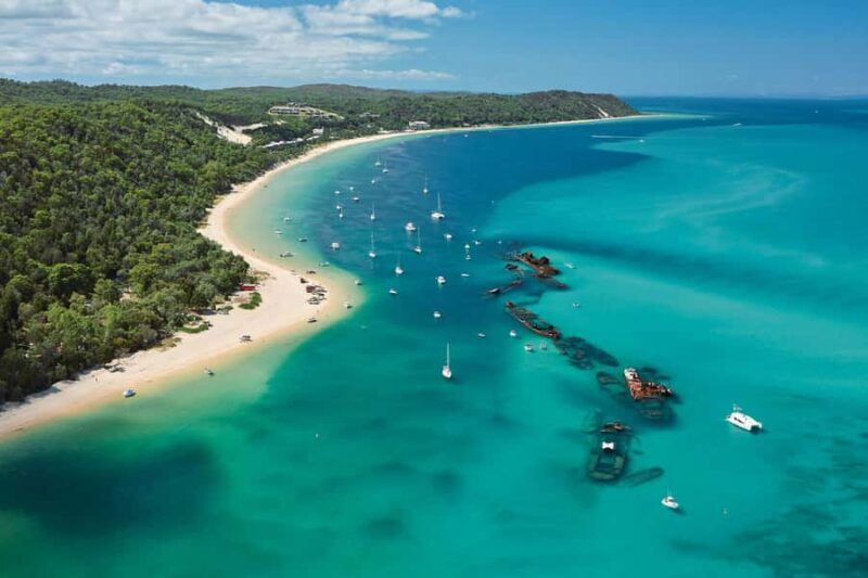 Moreton Island: Marine Discovery Cruise & Dolphin Feeding - Who Should Consider This Tour?