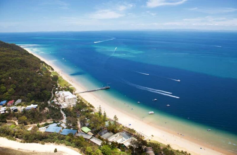Moreton Island: Marine Discovery Cruise & Dolphin Viewing - Practical Details & Tips