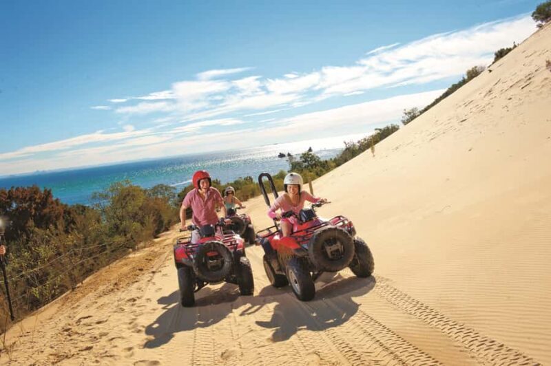 Moreton Island: Tangalooma ATV Quad Bike & Dolphin Feeding - Final Thoughts on the Experience