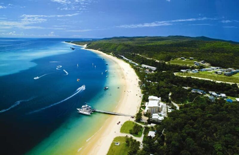 Moreton Island: Tangalooma Day Trip & Whale Watching Cruise - Key Points