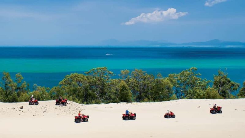 Moreton Island: Tangalooma Day Trip with ATV Quad Bike Tour - The Sum Up
