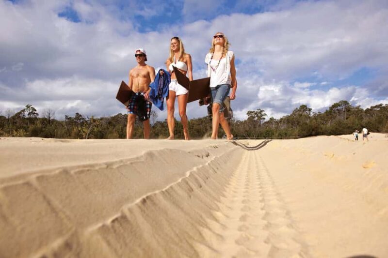 Moreton Island: Tangalooma Desert Safari and Dolphin Feeding - A Complete Look at the Tour