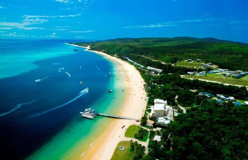 Moreton Island: Tangalooma Snorkeling Tour & Dolphin Feeding - Starting Point and Journey: Smooth Sailing from Brisbane