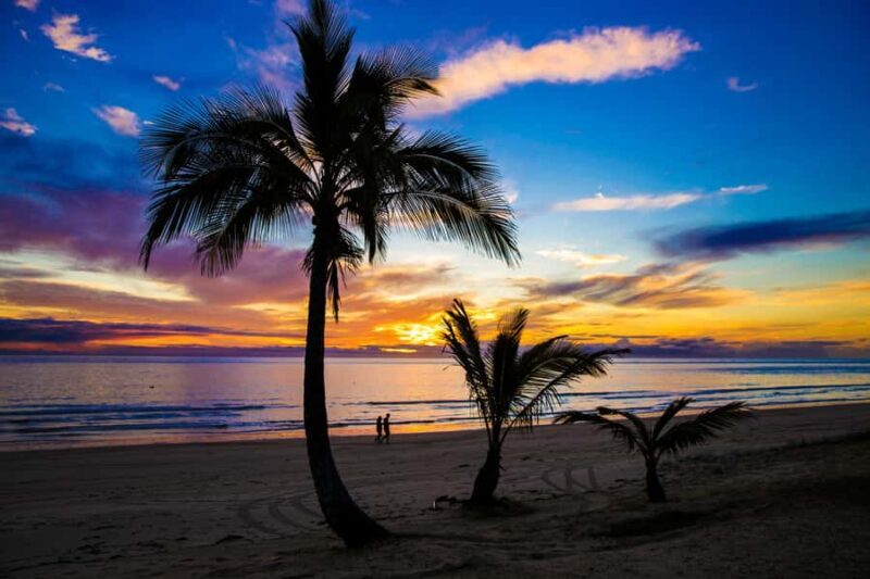 Moreton Island: Tangalooma Snorkeling Tour & Dolphin Feeding - Snorkelling the Tangalooma Wrecks