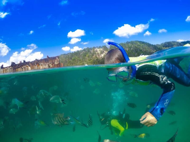 Moreton Island: Tangalooma Snorkeling Tour & Dolphin Feeding - What the Reviews Say
