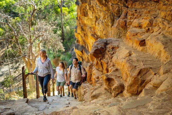 Morialta Wilderness and Wildlife Hike - A Deep Dive Into the Morialta Experience