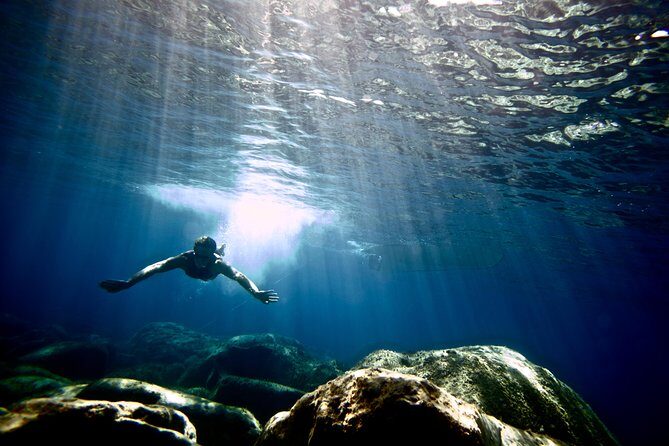Morning Boat Tour to Cinque Terre with brunch - An In-Depth Look at the Tour Experience