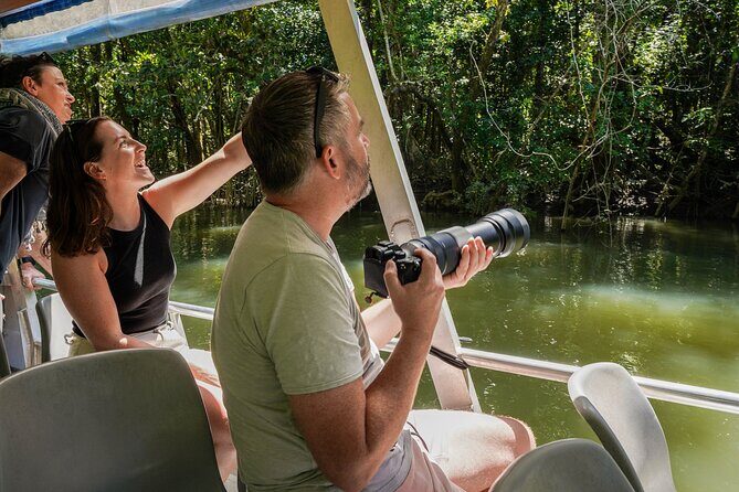 Morning Daintree Tour with River Cruise from Port Douglas - The Sum Up