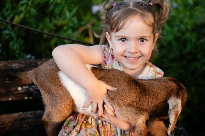 Morning Farm Experience near Gympie & Noosa - An Authentic and Wholesome Farm Visit