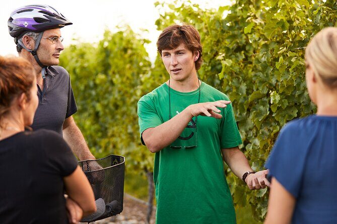 Morning Guided with Afternoon Self-Guided Biking Wine Tour - Key Points