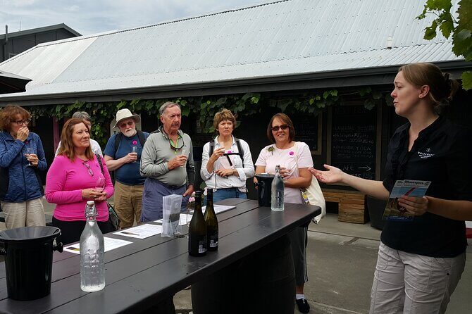 Morning Guided with Afternoon Self-Guided Biking Wine Tour - Practical Details and Logistics