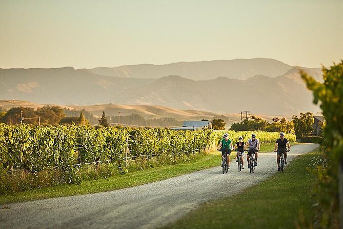 Morning Guided with Afternoon Self-Guided Biking Wine Tour - Final Thoughts
