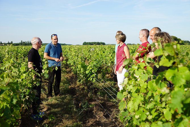 Morning - Loire Valley Wine Tour & Food Pairing, Vouvray - An Overview of the Loire Valley Wine Tour & Food Pairing  
