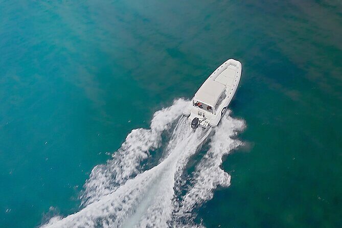 Morning or Afternoon 3hour Private boat Tour in Santorini - Price and Value