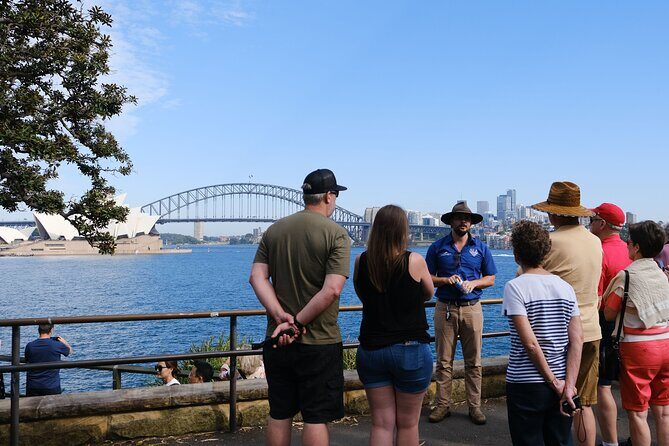 Morning or Afternoon Half-Day Sydney City Sightseeing Tour - In-Depth Look at the Tour Experience