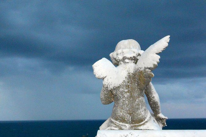 Morning or Afternoon Highlights Tour in Sydney with a Local Guide - Who’s This Tour Best For?