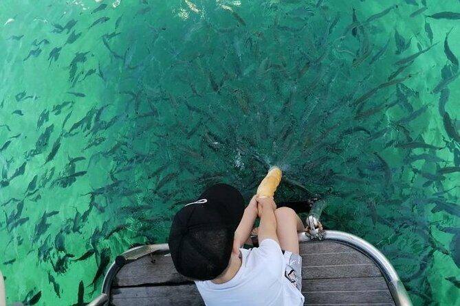 Morning panorama & swimming with a fishes - Key Points