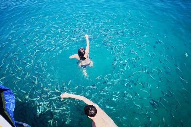 Morning panorama & swimming with a fishes - Authentic Traveler Insights