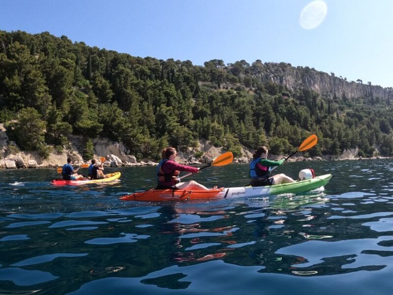 Morning Split Sea Kayaking Tour - Introduction to the Experience